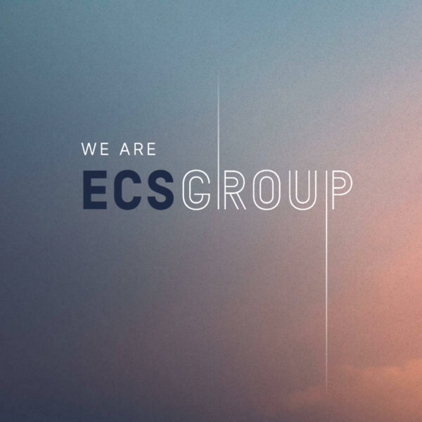 ECS Group - Visual identity - Lemon Queen